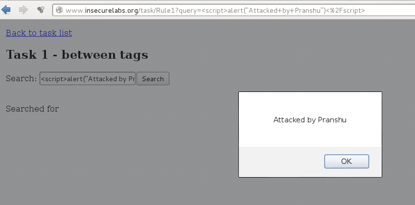 Basic XSS Attacks Demo and Examples | Pranshu Bajpai - AmIRootYet