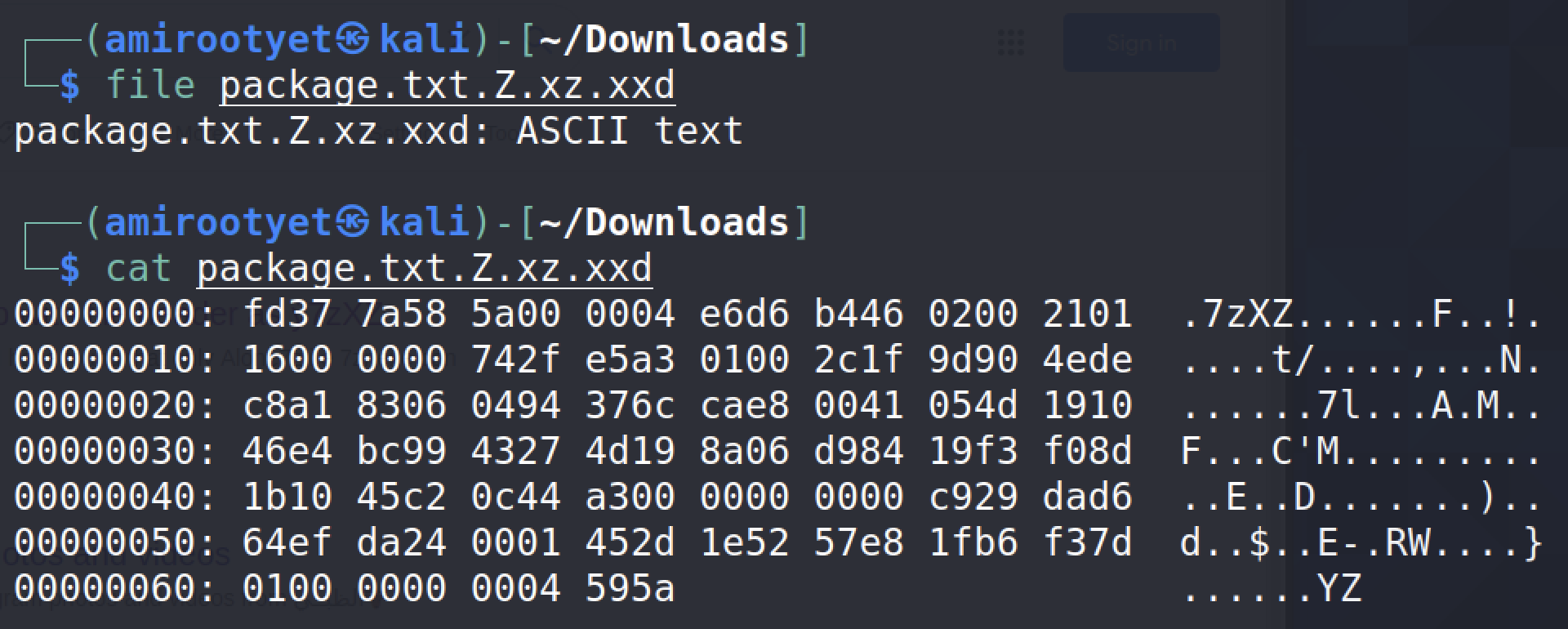 Kringlecon 2020 Walkthrough | Pranshu Bajpai - AmIRootYet