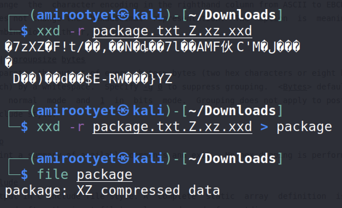 Kringlecon 2020 Walkthrough | Pranshu Bajpai - AmIRootYet