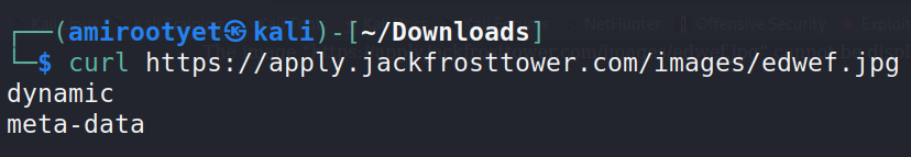 Kringlecon 2021 Walkthrough | Pranshu Bajpai - AmIRootYet